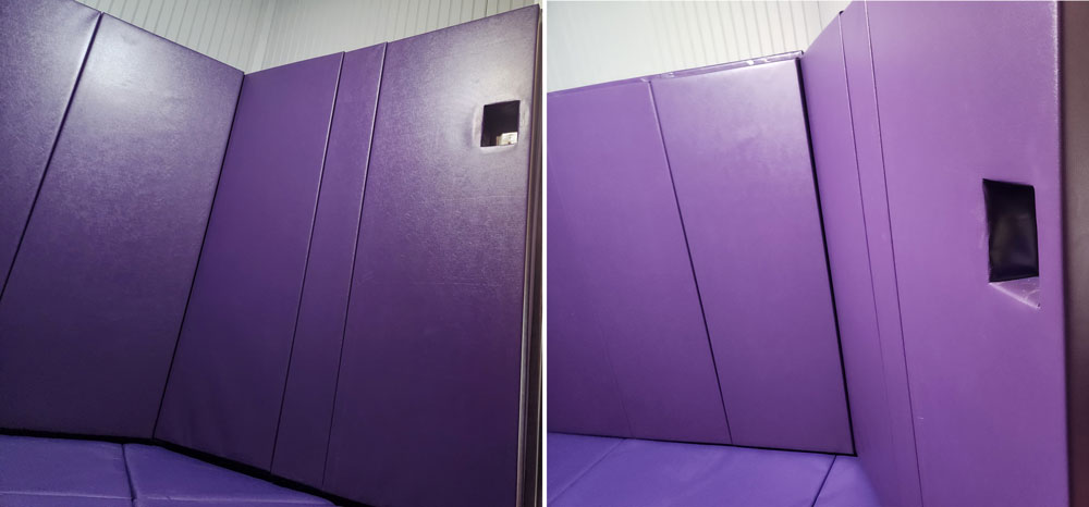 Creating a Safe and Inclusive Padded Space for the STEPS Program ...